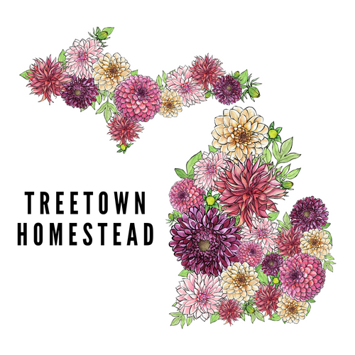 Contact – Tree Town Homestead